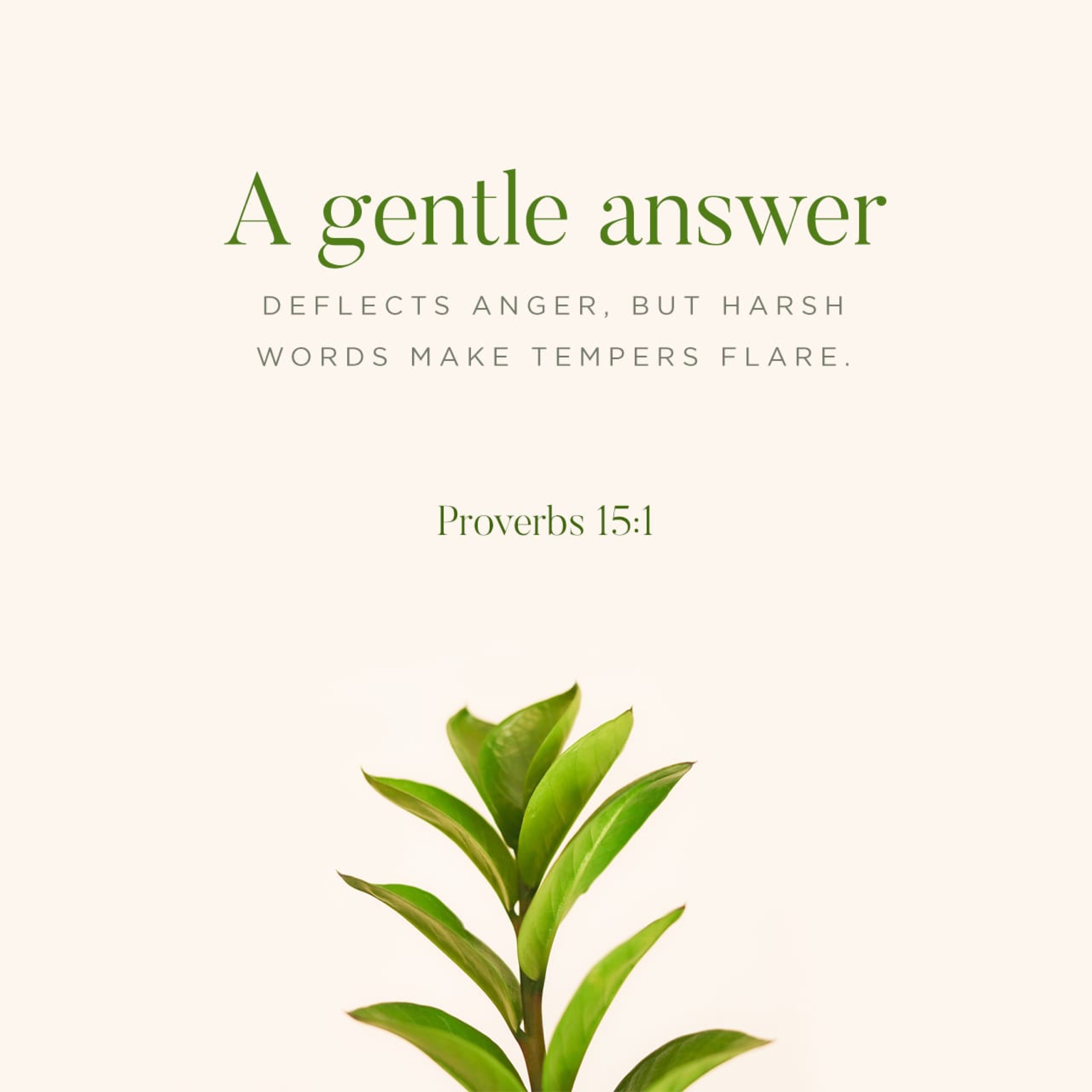 A gentle answer – ScriptureMixTape.com